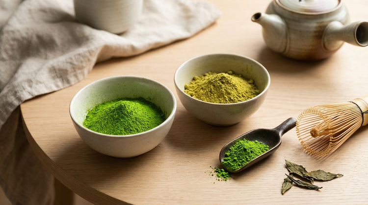 Why Is Matcha So Green? Understanding Matcha Color & Shade Growing ...